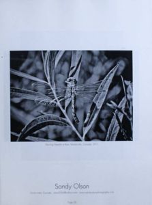 TCDC Resource Center