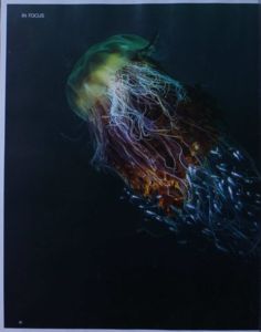 TCDC Resource Center